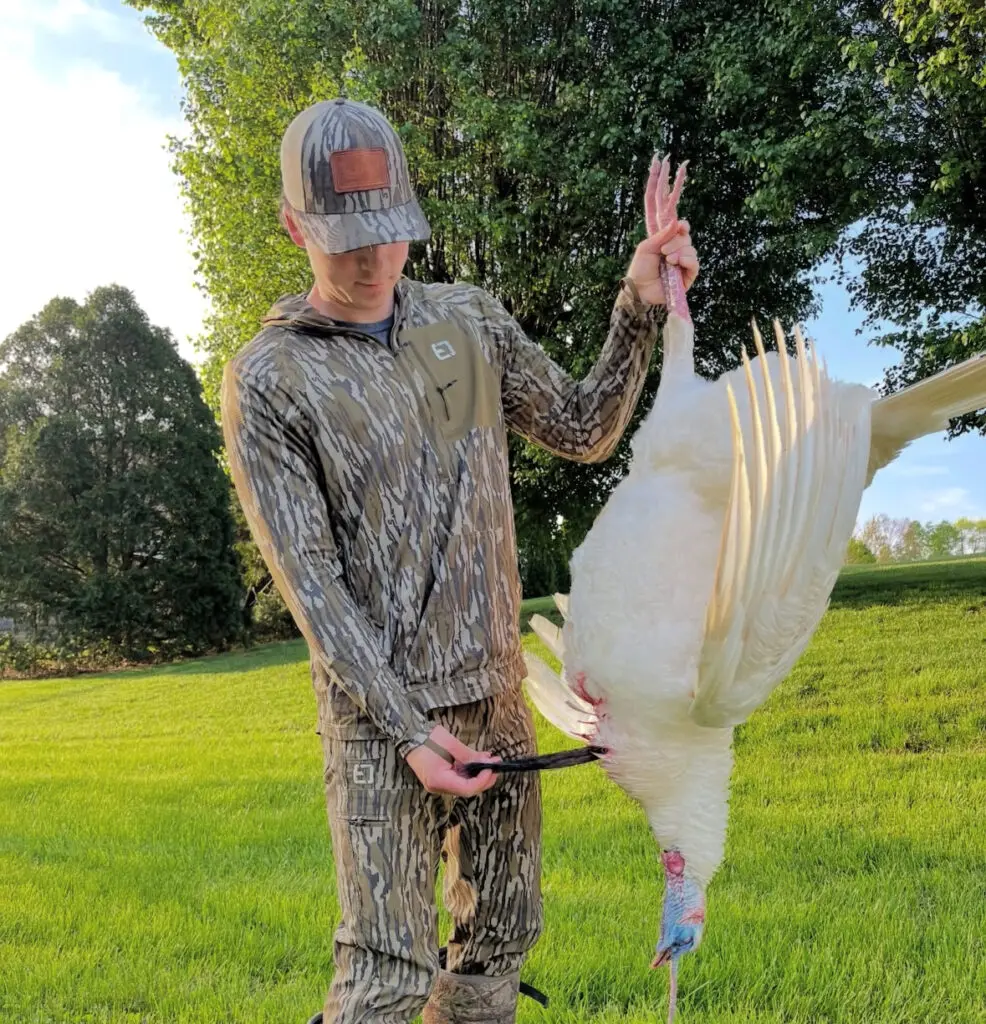 Biologists studying DNA, genetics for color phase turkey - Texas ...
