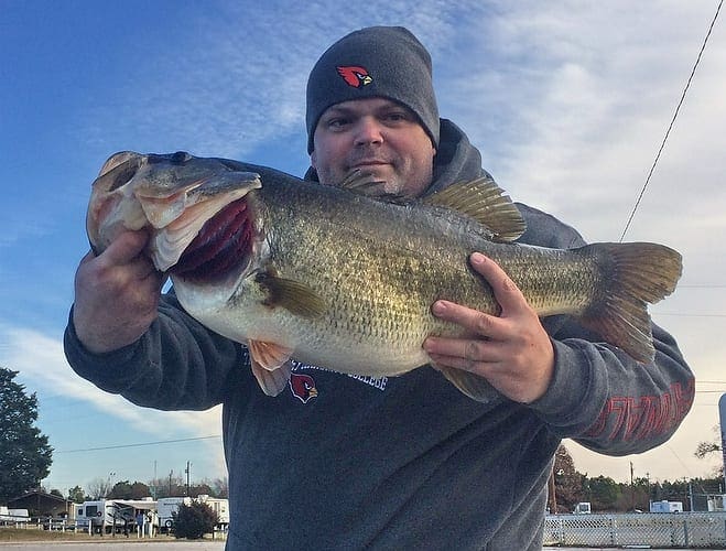 Big Texas largemouth bass emerging from Lake Fork, Athens - Texas ...