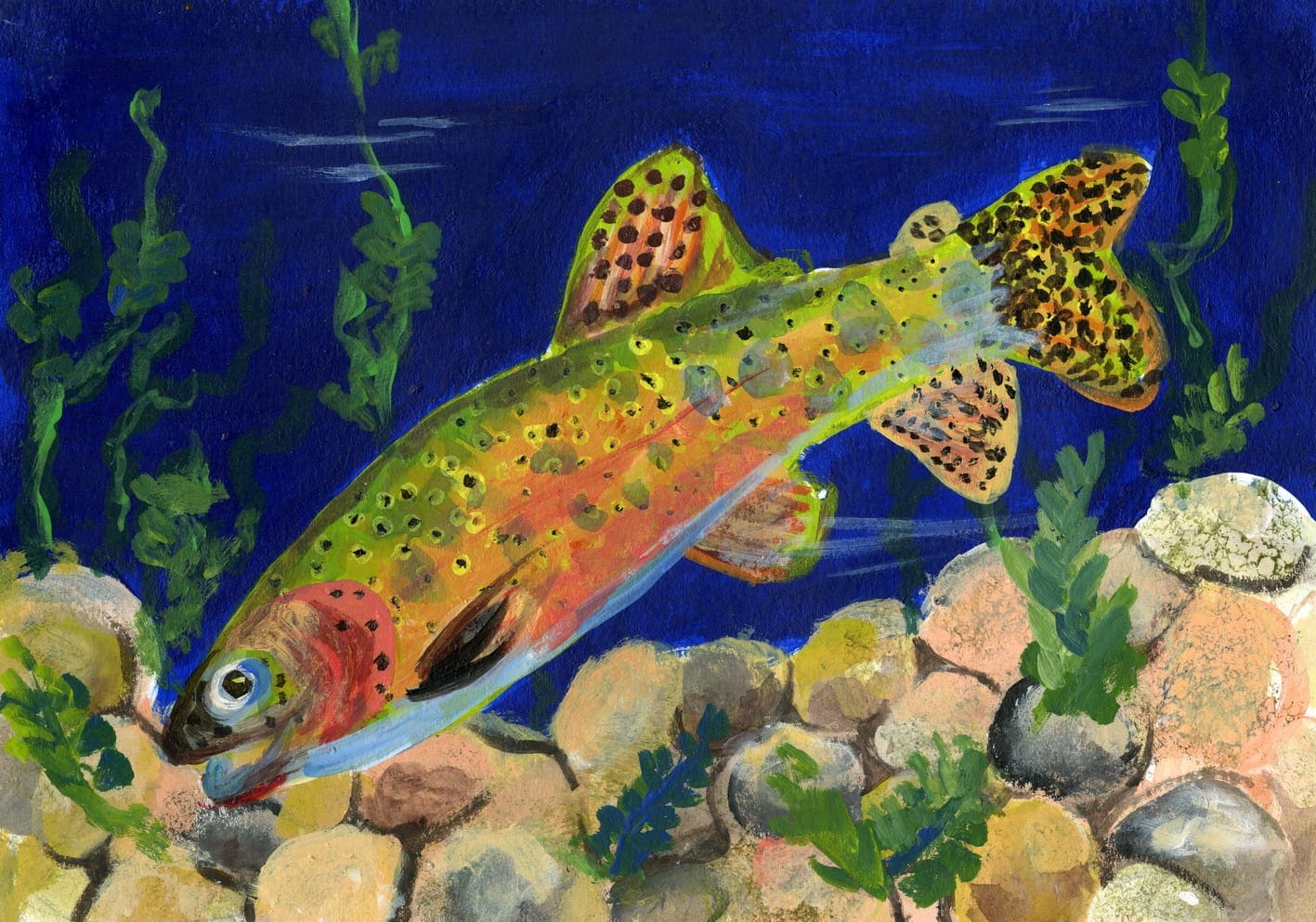 Entries wanted for Texas State-Fish Art Contest - Texas Hunting ...