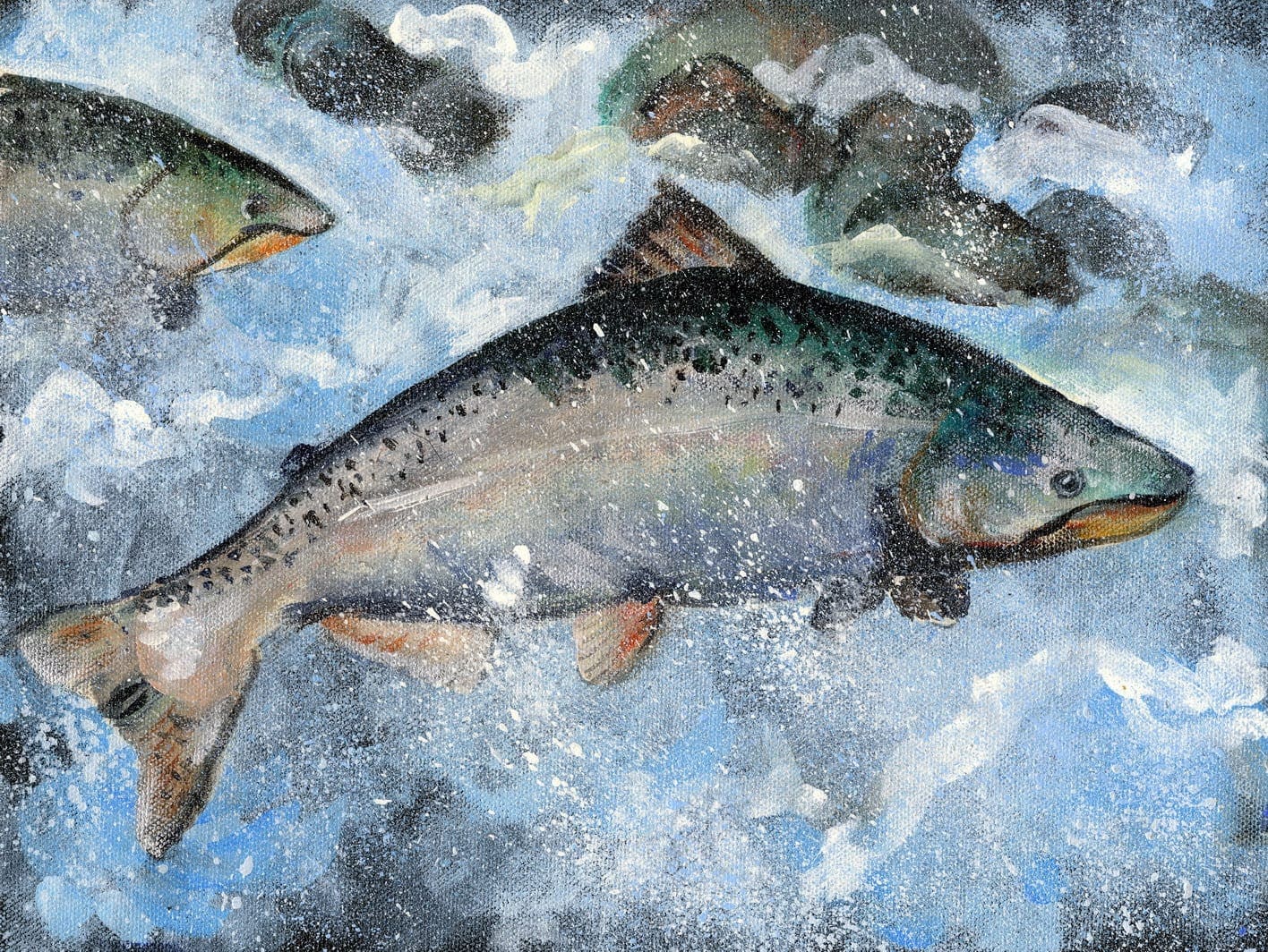 State Fish Art winners announced - Texas Hunting & Fishing | Lone Star ...