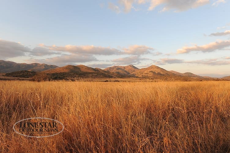 First female selected as Weatherby Award winner - Texas Hunting ...