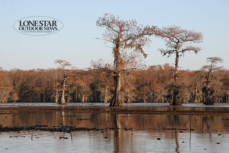 TPWD sets public meeting for Caddo Lake WMA duck blind prohibition ...