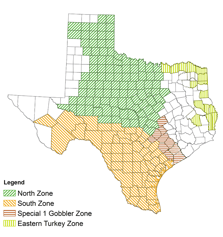 Plenty of mature toms, fewer jakes - Texas Hunting & Fishing | Lone ...