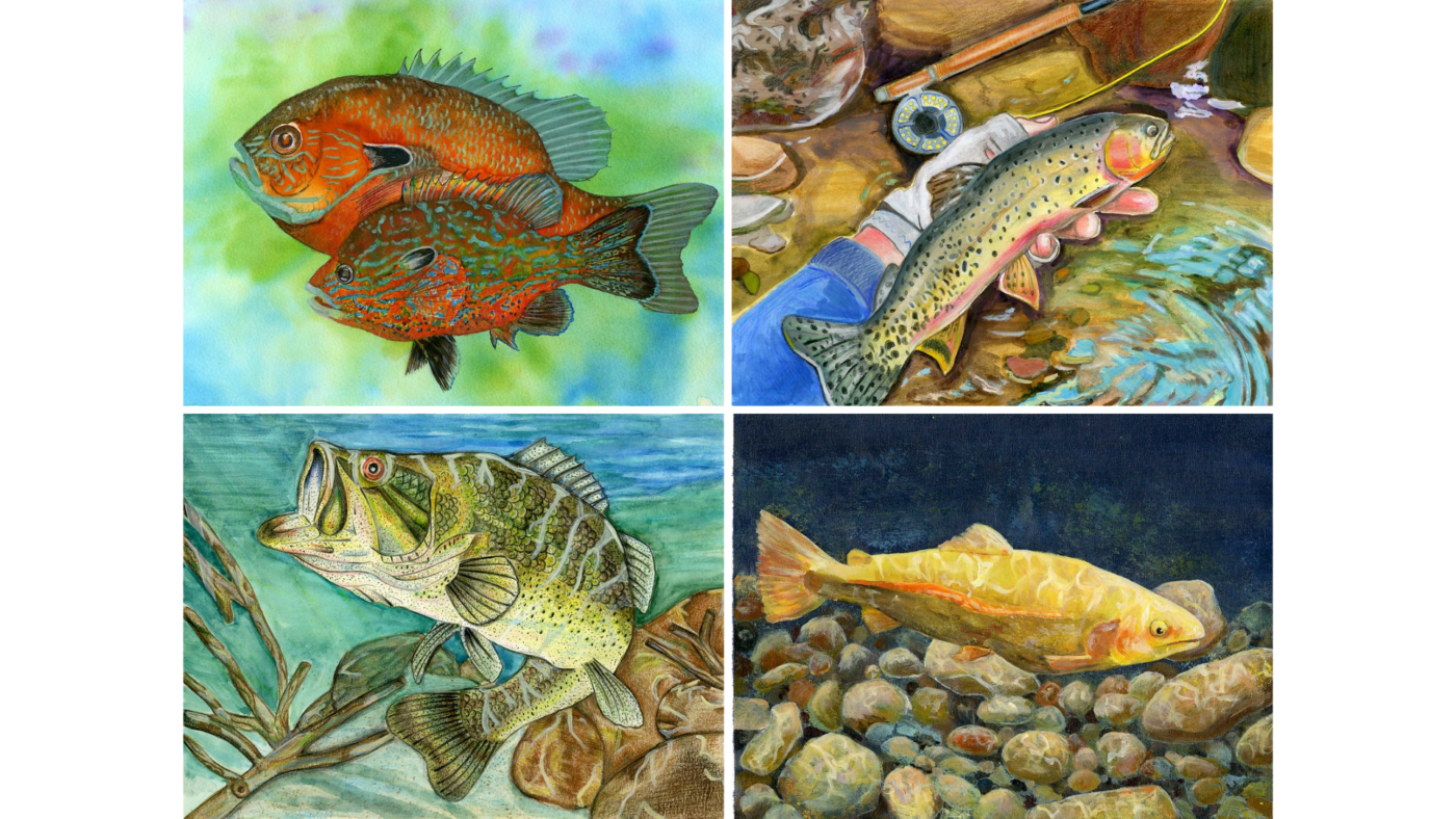 Young Texas artists create fish artwork - Texas Hunting & Fishing ...