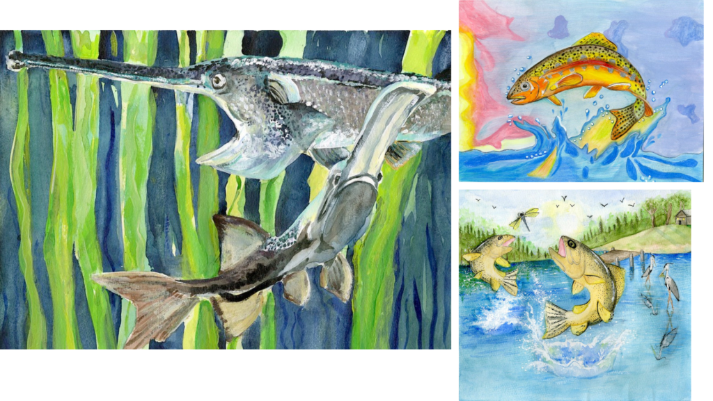 Young Texas artists create fish artwork - Texas Hunting & Fishing ...