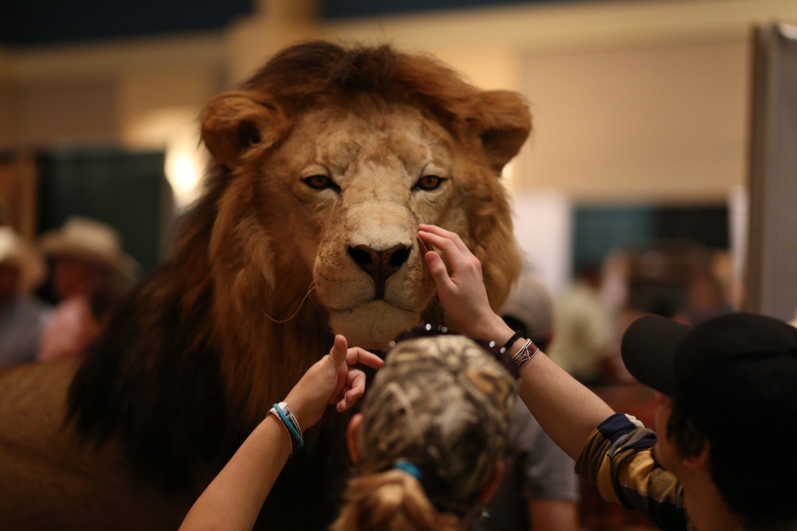 Texas Hunters & Sportsman’s Expo the best hunting and fishing show in ...