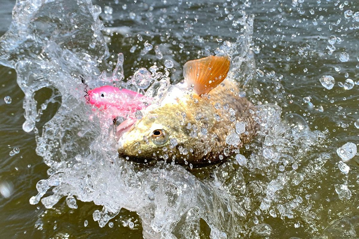 Working tides for redfish on the Texas coast