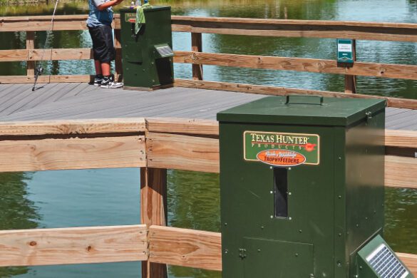 Bass fishing, reimagined: Fly rod fun for largemouth and smallmouth ...