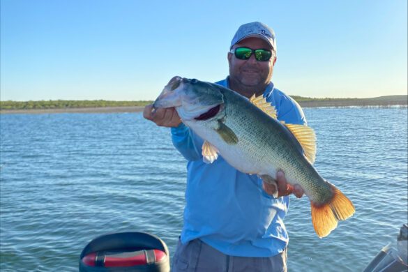 State Fish Art Contest winners announced - Texas Hunting & Fishing ...