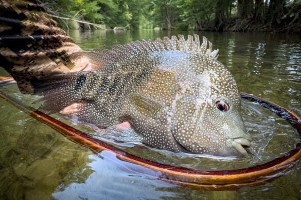 Johnson claims Grand Champion title at Getaway Lodge Reel Lifesaver ...