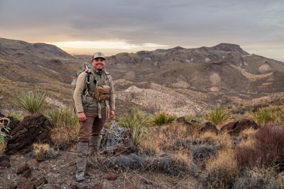 TPWD votes for Sept. 1 South Zone dove opener - Texas Hunting & Fishing ...