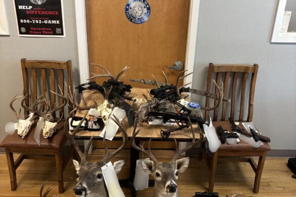 TPWD to hold public meeting on proposed deer regulation changes in four ...